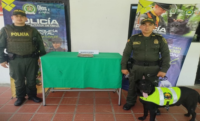 Continúan las actividades de prevención en la lucha contra el narcotráfico en la ciudad de Neiva ...
